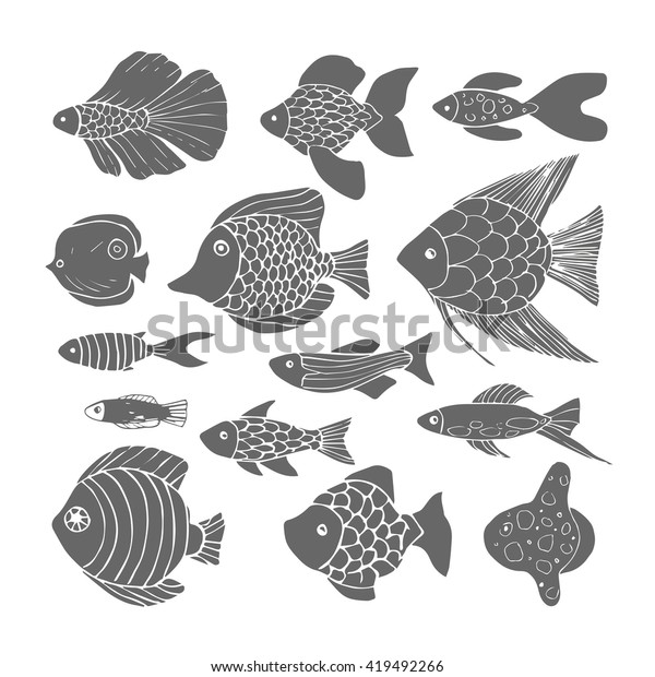 Hand Drawn Vector Fish Illustration Set: เวกเตอร์สต็อก (ปลอดค่า ...