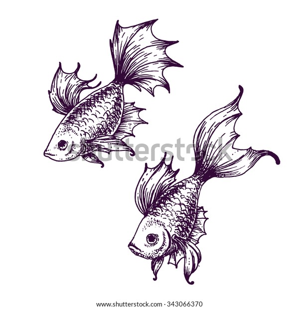 Hand Drawn Vector Fish Sketch 库存矢量图（免版税）343066370 | Shutterstock