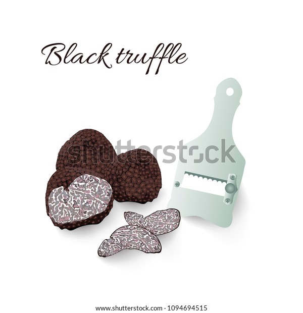 Hand Drawn Vector Illustration Black Truffles Stock Vector (Royalty ...