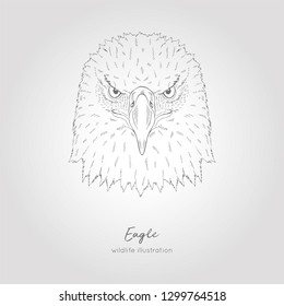 Hand Drawn Vector Illustration Eagle Symmetrical Stock Vector (Royalty ...