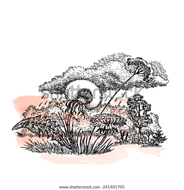 Hand Drawn Vector Illustration Forest Landscape Stock Vector (Royalty ...