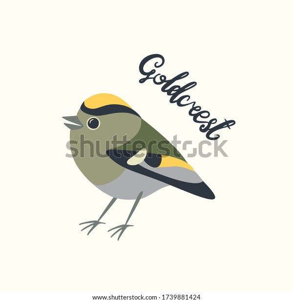 Hand Drawn Vector Illustration Goldcrest Stock Vector (Royalty Free ...