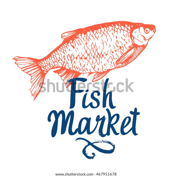Hand Drawn Vector Illustration Rudd Fish Stock Vector (Royalty Free ...