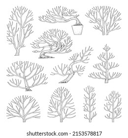 Hand Drawn Side View Tree Vector Stock Vector (Royalty Free) 1901068282 ...