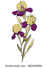 Blooming Forest Flowers Detailed Hand Drawn: стоковая векторная графика ...