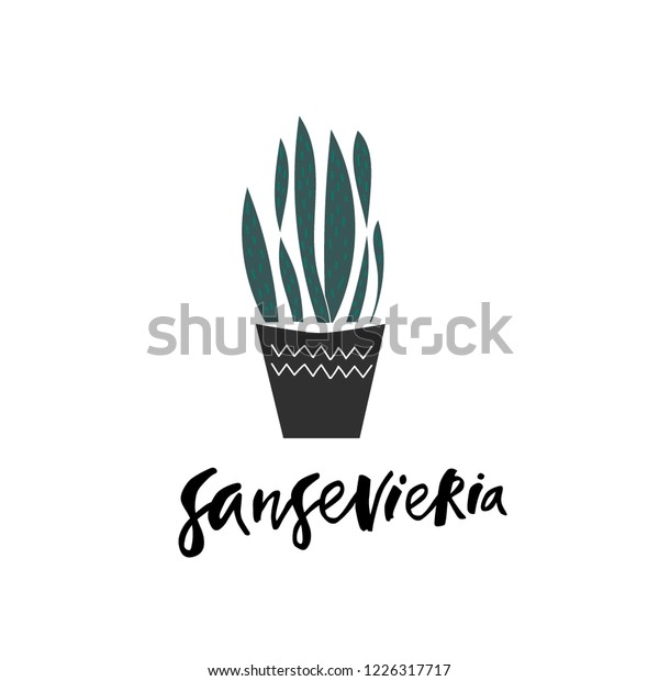 Hand Drawn Vector Succulents Lettering Stock Vector (Royalty Free ...
