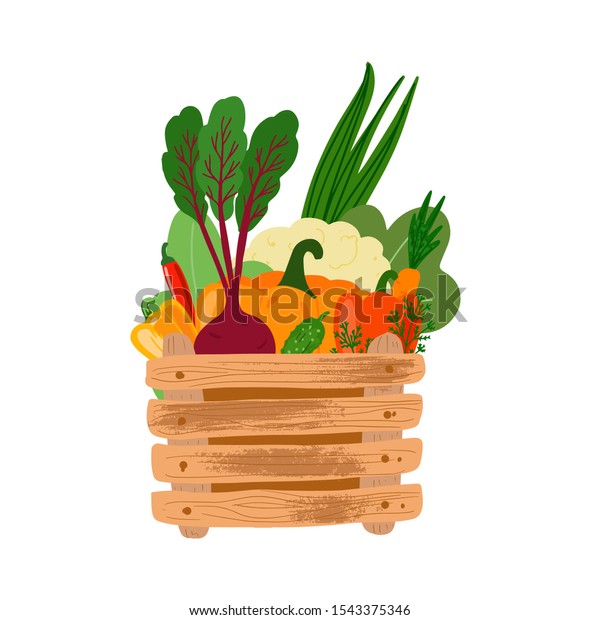Hand Drawn Vector Vegetables Wooden Box Stock Vector (Royalty Free ...