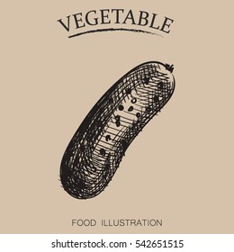 Hand Drawn Vegetables Isolated On Beige Stock Vector (Royalty Free ...