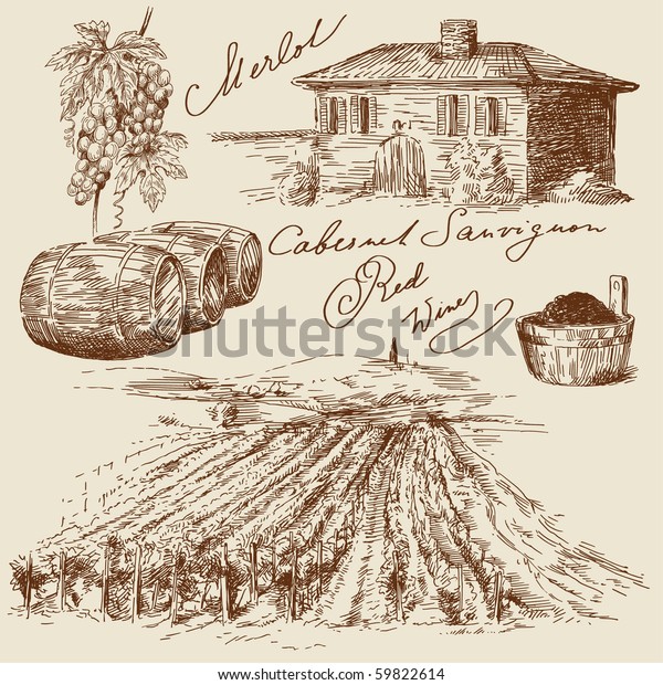 Hand Drawn Vineyards Stock Vector (Royalty Free) 59822614