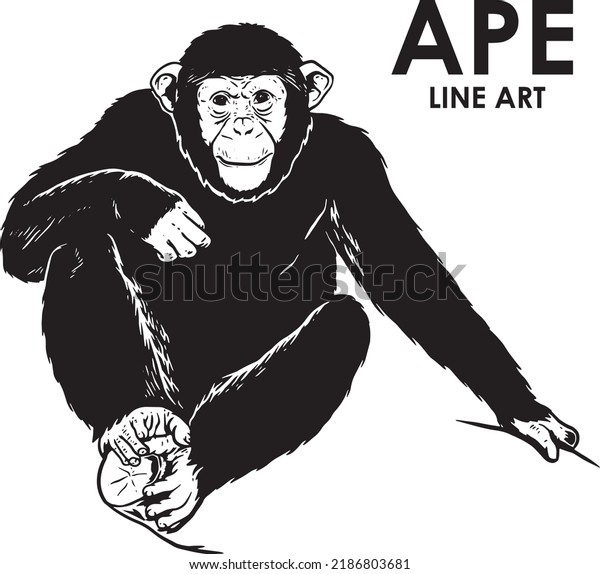 Hand Drawn Vintage Ape Premium Vector Stock Vector (Royalty Free ...