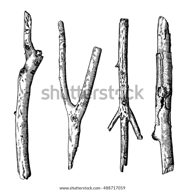 Hand Drawn Wood Twig Set Ink Stock Vector (Royalty Free) 488717059