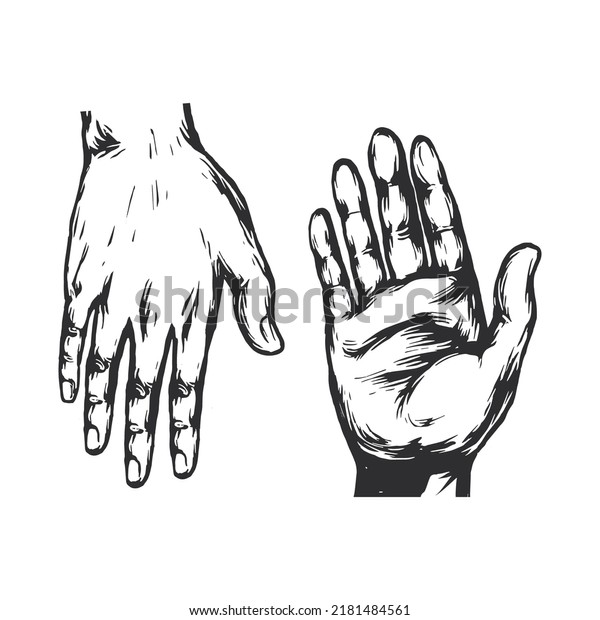 Hand Gesture Black White Sketch Vector: เวกเตอร์สต็อก (ปลอดค่าลิขสิทธิ์ ...