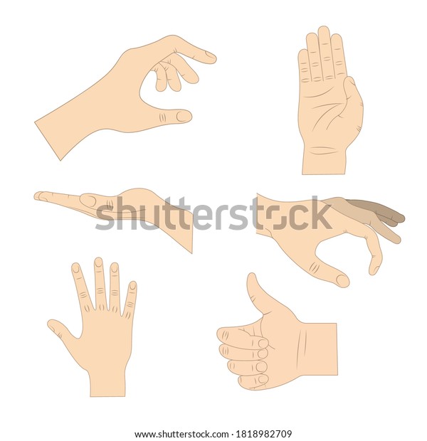 Hand Gestures Different Positions Palm Pointing Stock Vector (Royalty ...