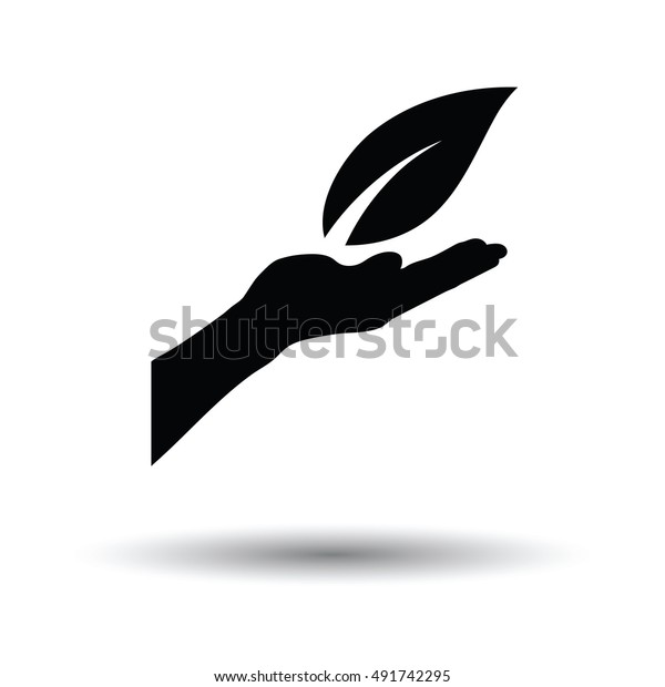 Hand Holding Leaf Icon White Background Stock Vector (Royalty Free ...