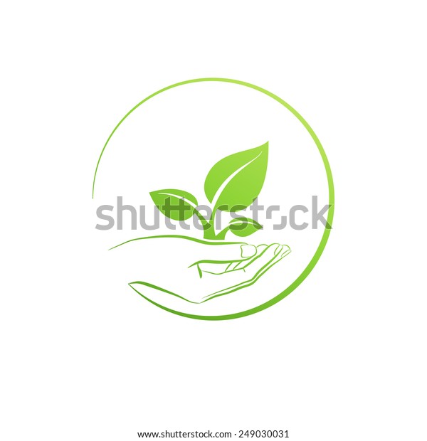 Hand Holding Plant Logo Concept Vector Stock Vector (Royalty Free ...