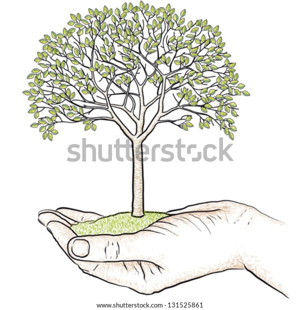 Mano sosteniendo un árbol: vector de stock (libre de regalías ...