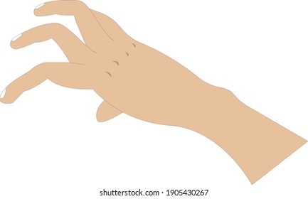 Bellissimo Hand Gesture Isolated Vector Illustration Stock Vector ...