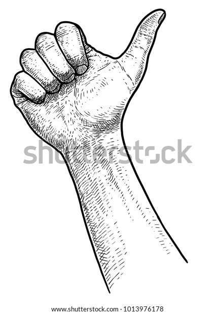 Hand Illustration Drawing Engraving Ink Line Stock Vector (Royalty Free ...