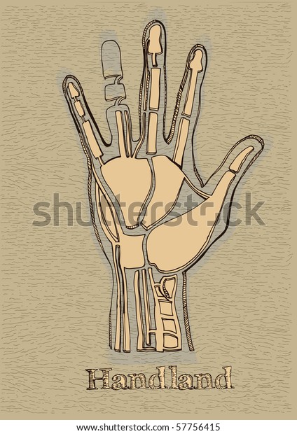 Hand Island Old Map: เวกเตอร์สต็อก (ปลอดค่าลิขสิทธิ์) 57756415 ...
