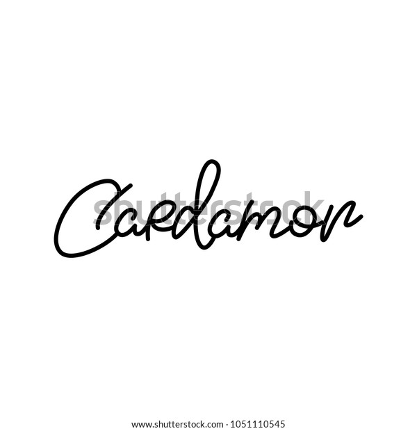 Hand Lettering Cardamon Logo Poster Website Stock Vector (Royalty Free ...
