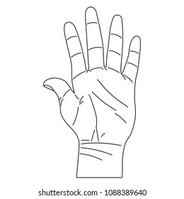 Hand Line Style Isolated On White Stock Vector (Royalty Free ...