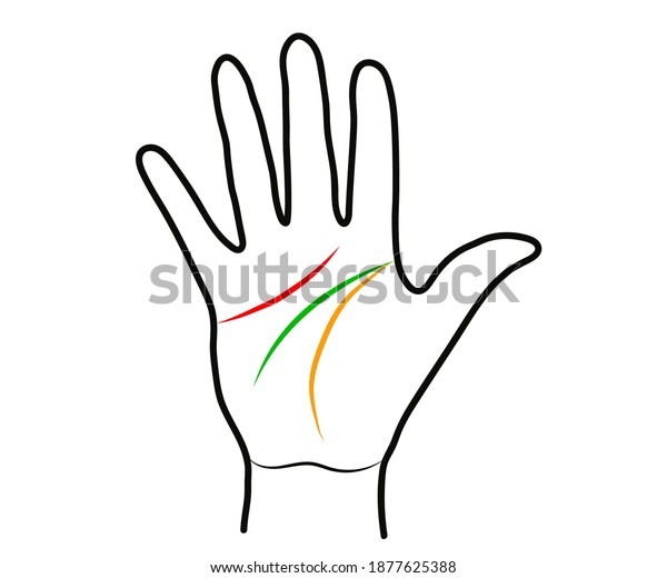 Hand Lines On Palm On White Stock Vector (Royalty Free) 1877625388 ...