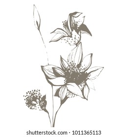 Hand Made Flower Illustration Design Element Stock Vector (Royalty Free ...