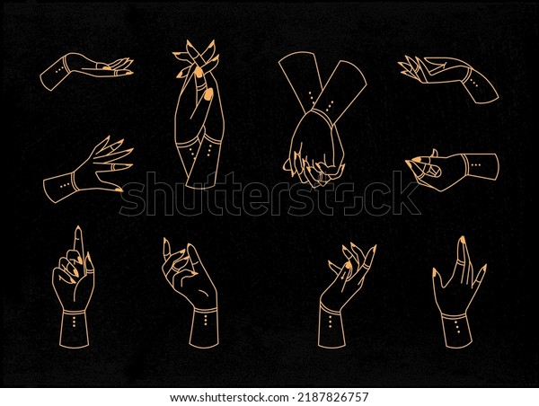 Hand Mystical Celestial Line Art Style Stock Vector (Royalty Free ...