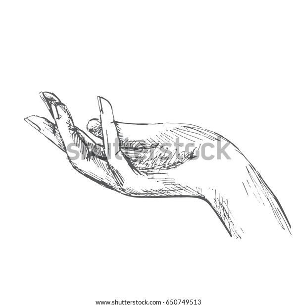 Hand Open Palm Illustration Sketch Style Stock Vector (Royalty Free ...