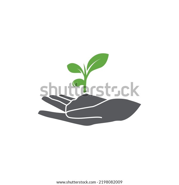 Hand Plant Icon Design Plant Leaf Stock Vector (Royalty Free ...
