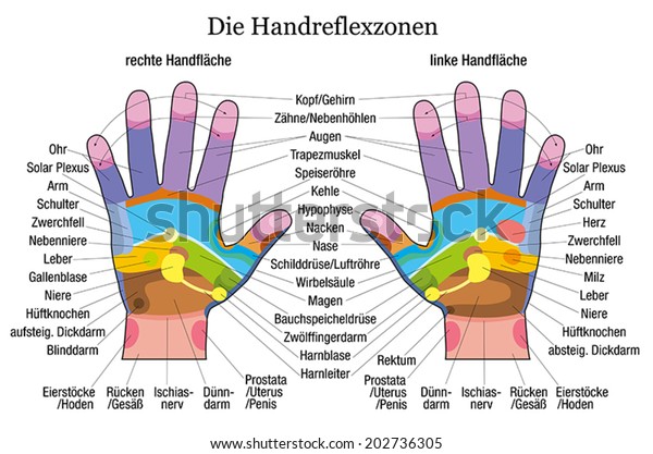 Hand reflexology chart with accurate description of the corresponding ...