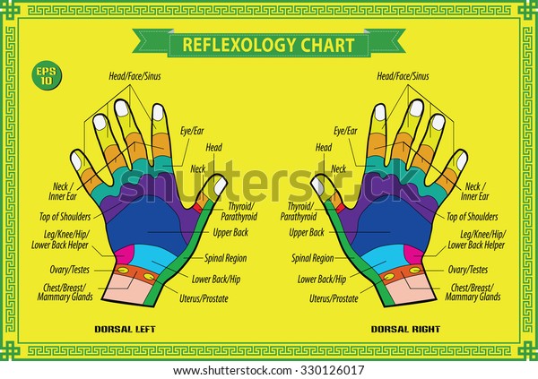Hand Reflexology Chart Accurate Description Corresponding 스톡 벡터(로열티 프리 ...