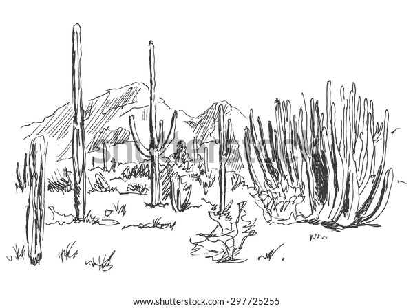 Hand Sketch American Desert Stock Vector (Royalty Free) 297725255