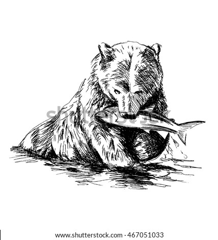 Hand Sketch Bear Catching Fish Vector Stock Vector (Royalty Free ...