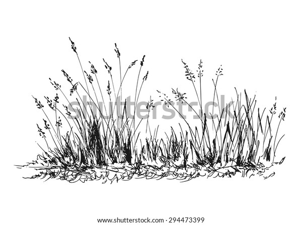 Hand Sketch Grass Stock Vector (Royalty Free) 294473399