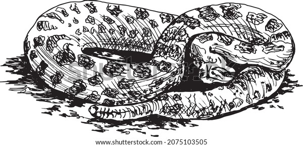 Hand Sketch Snake Vector Illustration Stock Vector (Royalty Free ...