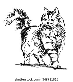 Hand Sketch Standing Cat Stock Vector (Royalty Free) 349911815 ...