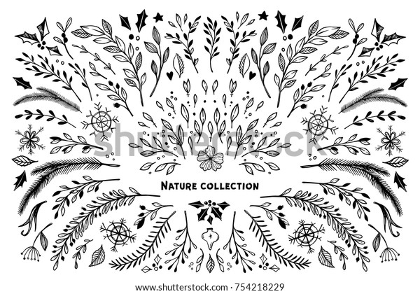 Hand Sketched Vector Winter Set Branches Stock Vector (Royalty Free ...