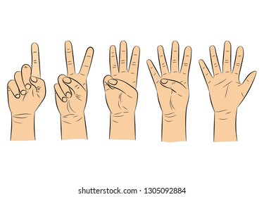 Illustration Isolated Counting Finger 1234 5 Stock Illustration ...