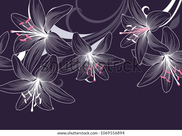 Handdrawing Floral Background Flower Lily Stock Vector (Royalty Free ...