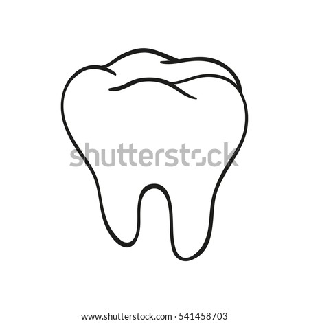 Handdrawn Black Lines Sketch Molar Tooth Stock Vector (Royalty Free ...