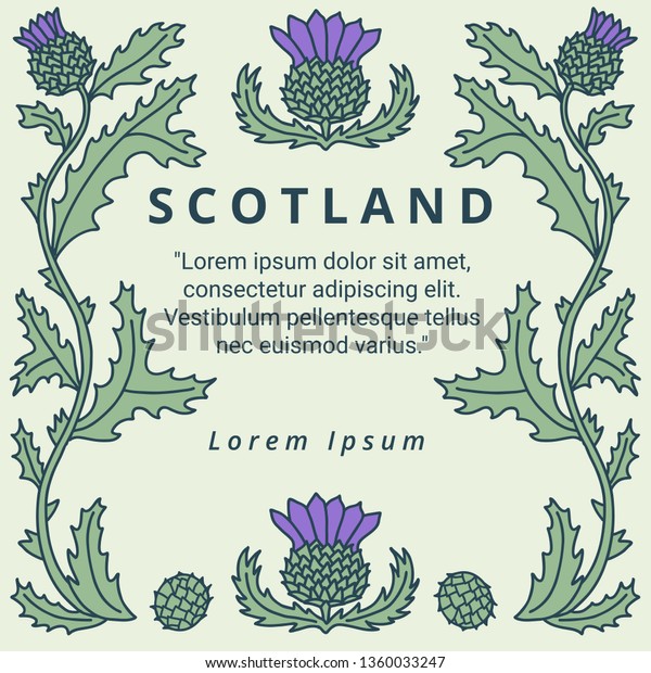 Handdrawn Colorful Vector Frame Scottish Thistle Stock Vector (Royalty ...