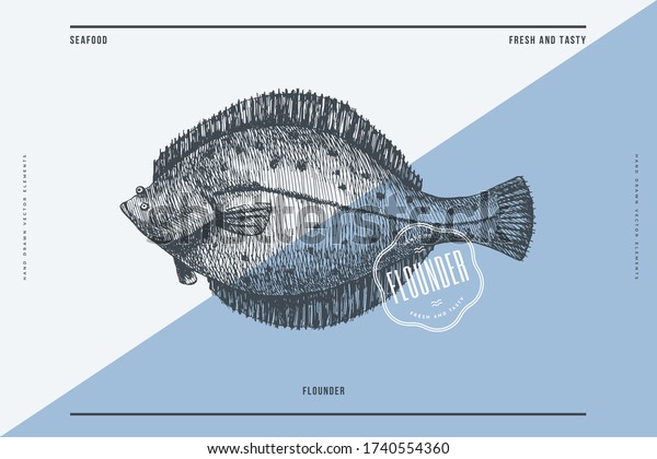 Handdrawn Flounder Vector Illustration Sea Fish Stock Vector (Royalty ...