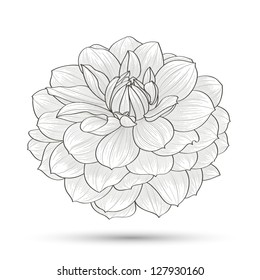 Handdrawn Flower Dahlia Element Design Abstract Stock Vector (Royalty ...