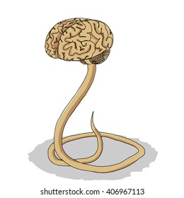 Handdrawn Human Brain Like Snake Brainstorm Stock Vector (Royalty Free ...