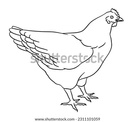 Chicken Outline | Free download on ClipArtMag