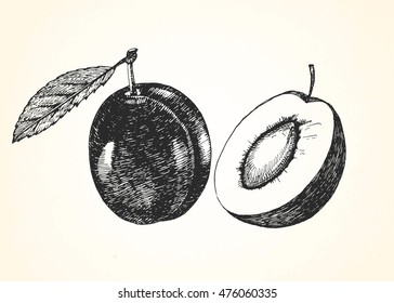 3,160 Plum engraved Images, Stock Photos & Vectors | Shutterstock