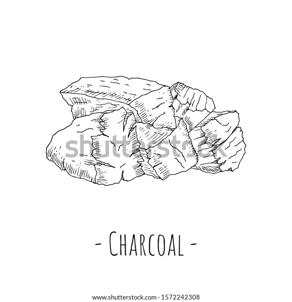 Handdrawn Isolated Charcoal Vector Illustration Stock Vector (Royalty ...