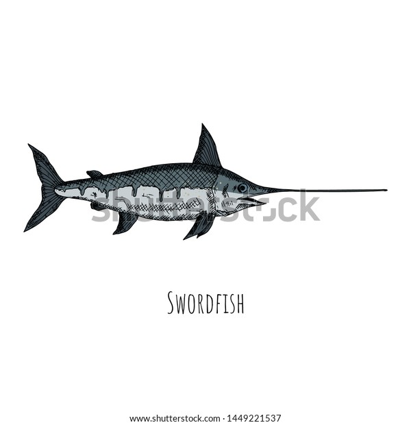 Handdrawn Isolated Swordfish Vector Cartoon Illustration Stock Vector ...