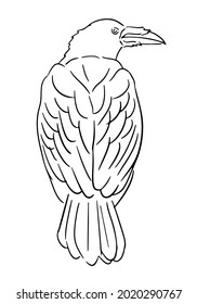 1,074 Raven back Images, Stock Photos & Vectors | Shutterstock